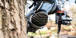Top 9 Best Tree Climbing Spikes 2024 - My Trail Co